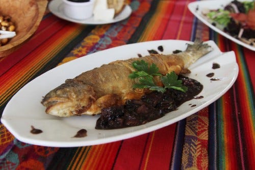Andean Berry, the fruit that’s conquering National gastronomy | by ...