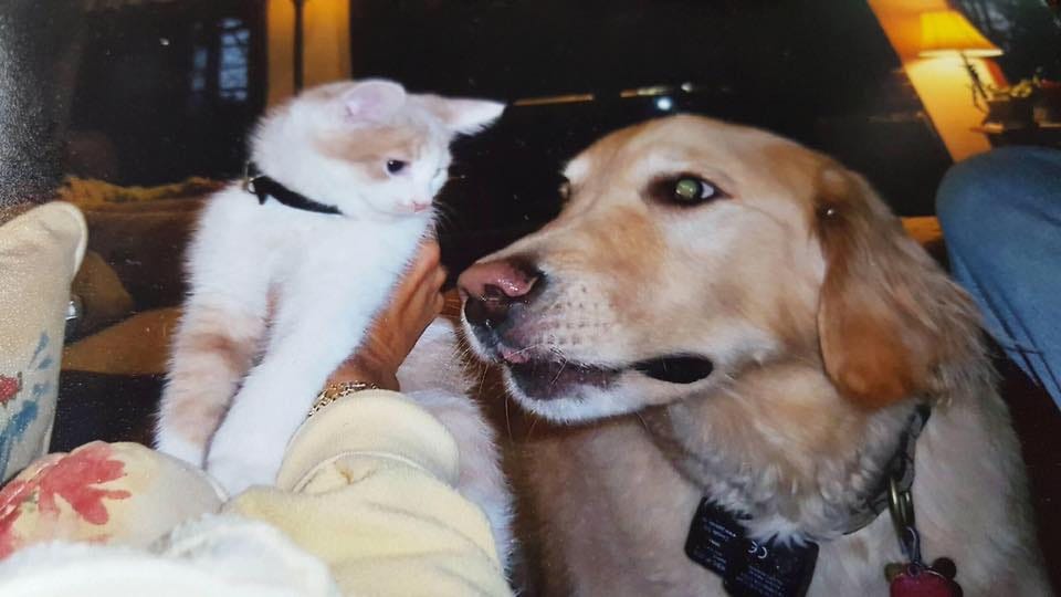 The Impact of Love: A Letter to Roscoe | by Kyle Trowbridge | Medium
