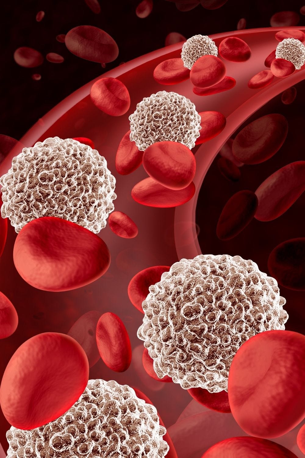 What Are White Blood Cells Teorinfo Our Body Can Function By what-are-white-blood-cells-teorinfo-our-body-can-function-by