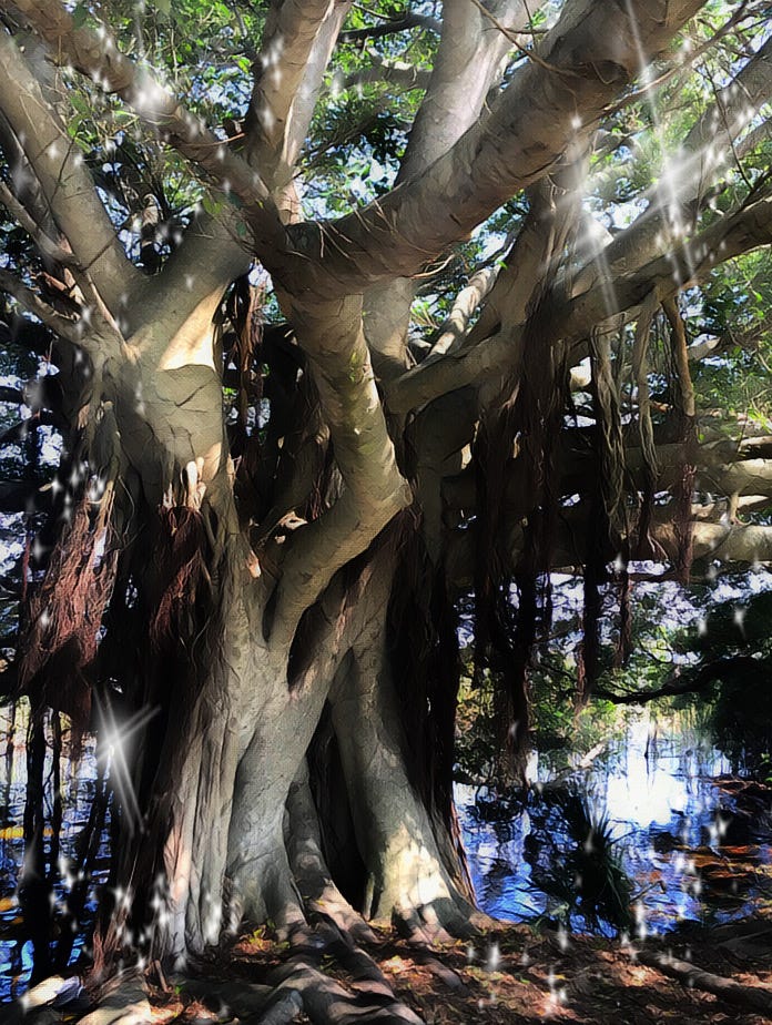 The Goddess Tree. A couple of years ago I was meditating… | by Shakti ...