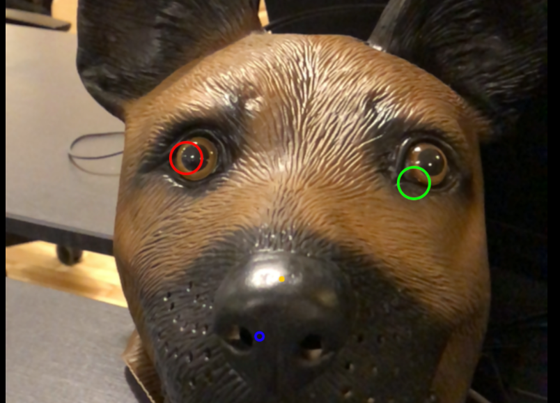 What I’ve learned building a deep learning Dog Face Recognition iOS app ...