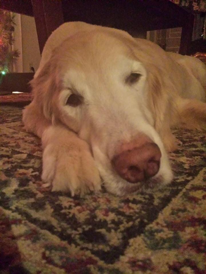 The Impact of Love: A Letter to Roscoe | by Kyle Trowbridge | Medium