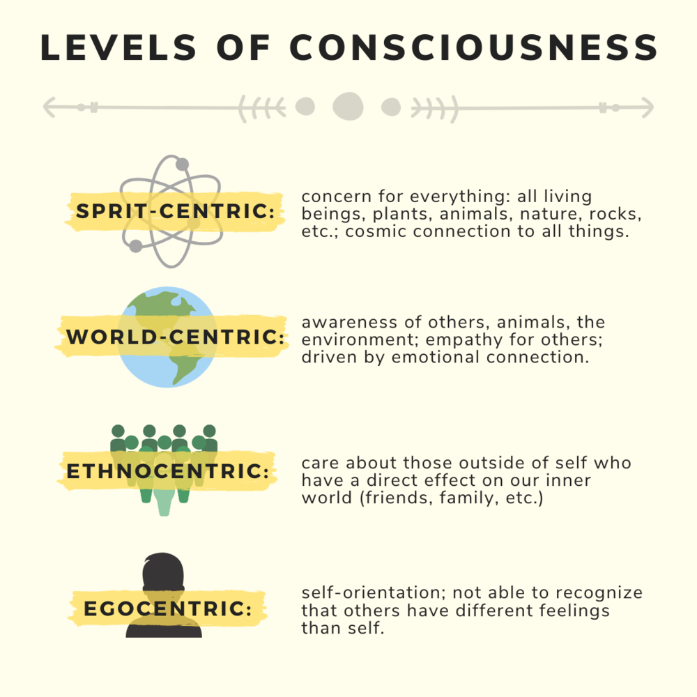 LEVELING UP: WHAT REALLY IS CONSCIOUSNESS? | by Noel Seriale | Medium