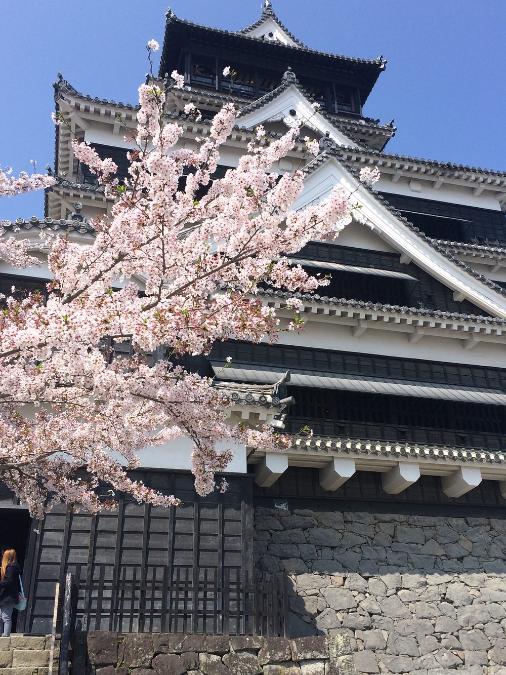 Enjoy Your Journey in Kuma-moto!. As a culture lover and full of… | by ...