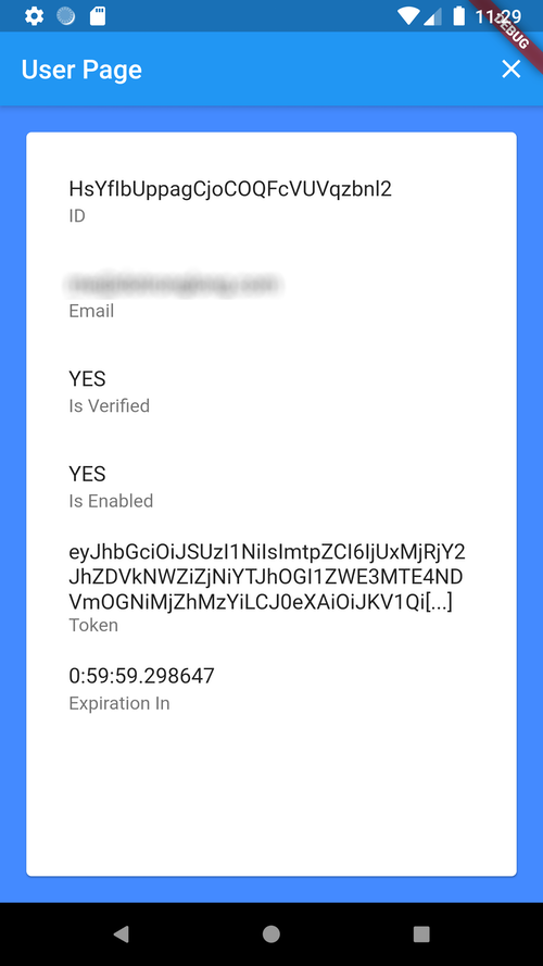 Implement Authentication in Flutter with Firebase Authentication | by Lucas Do | Medium