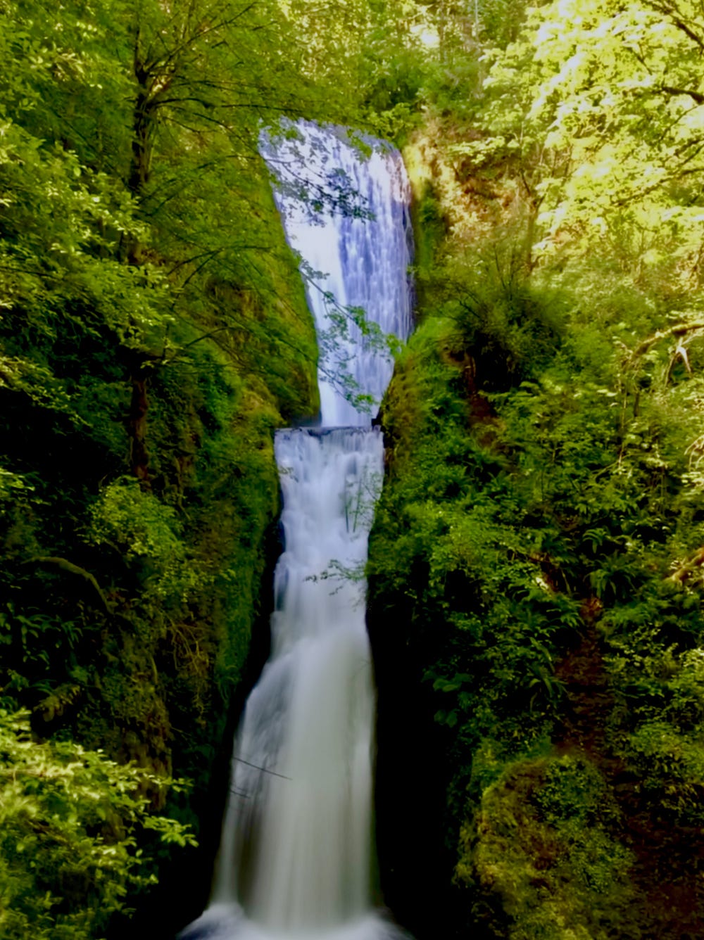 Pacific Northwest Trip Day 4: Columbia River Gorge, Hood River, and ...