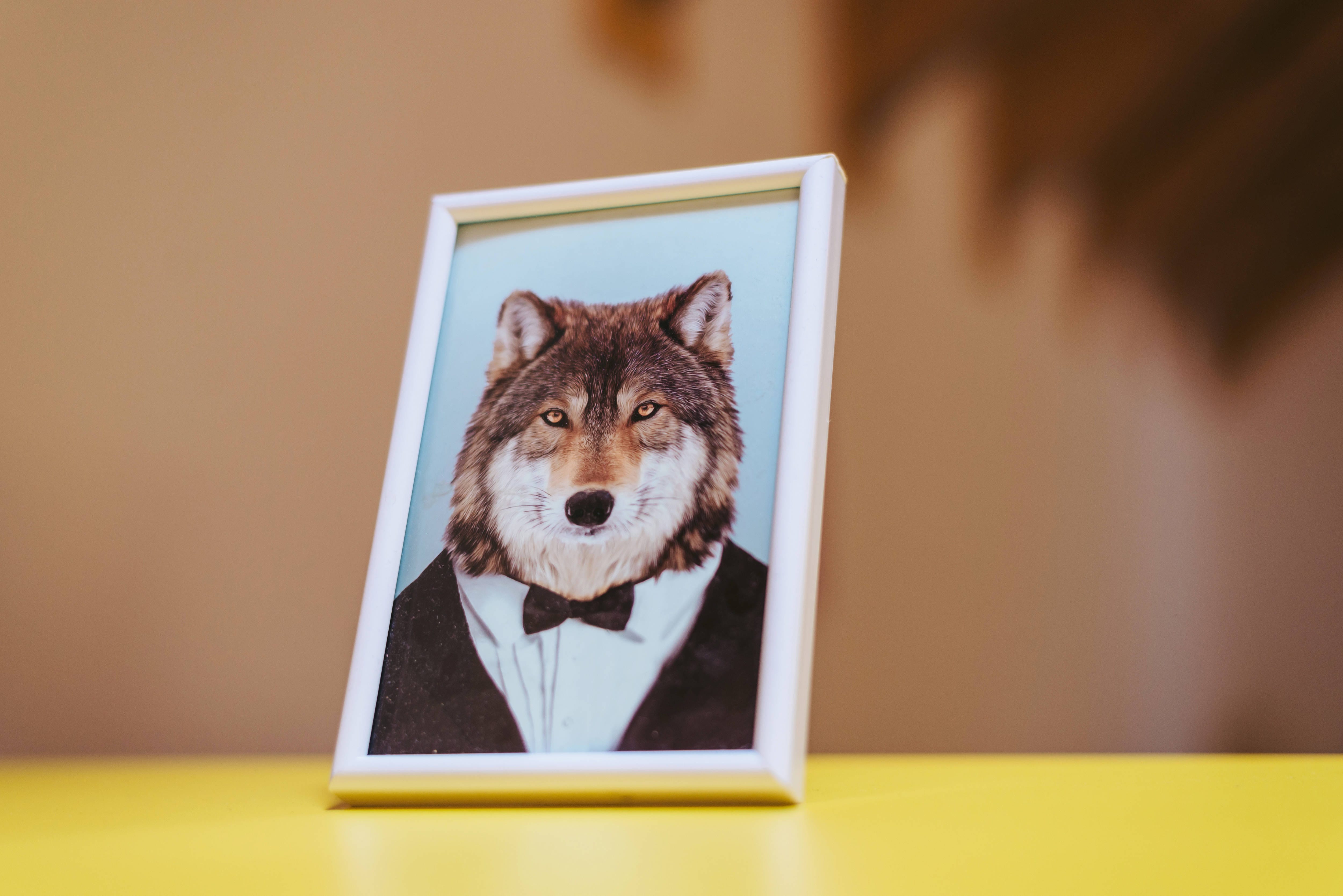 Wolfpack Digital September Wrap-Up: The cool stuff that happened this ...