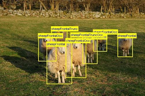 Training Faster R-CNN Using TensorFlow’s Object Detection API with a Custom Dataset | by Towards ...