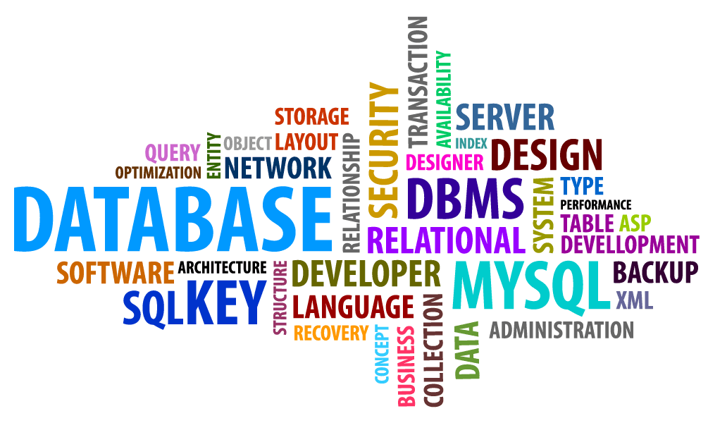 Why database should be taught before programming in universities | by ...