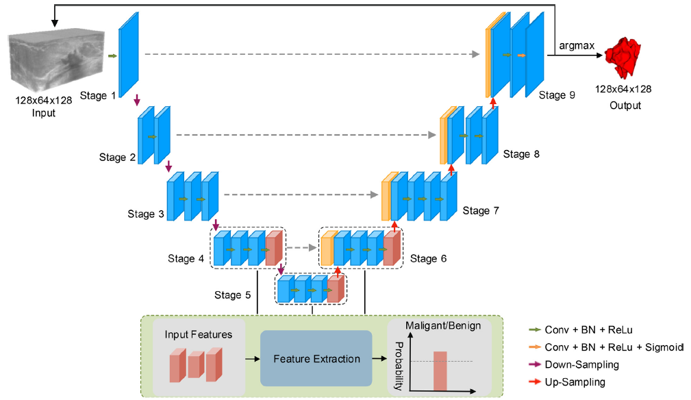 Review — Multi-Task Learning for Segmentation and Classification of Tumors in 3D Automated ...