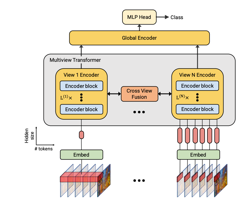 Multiview Transformers📺 — Part Ii By Momal Ijaz Aiguys Medium