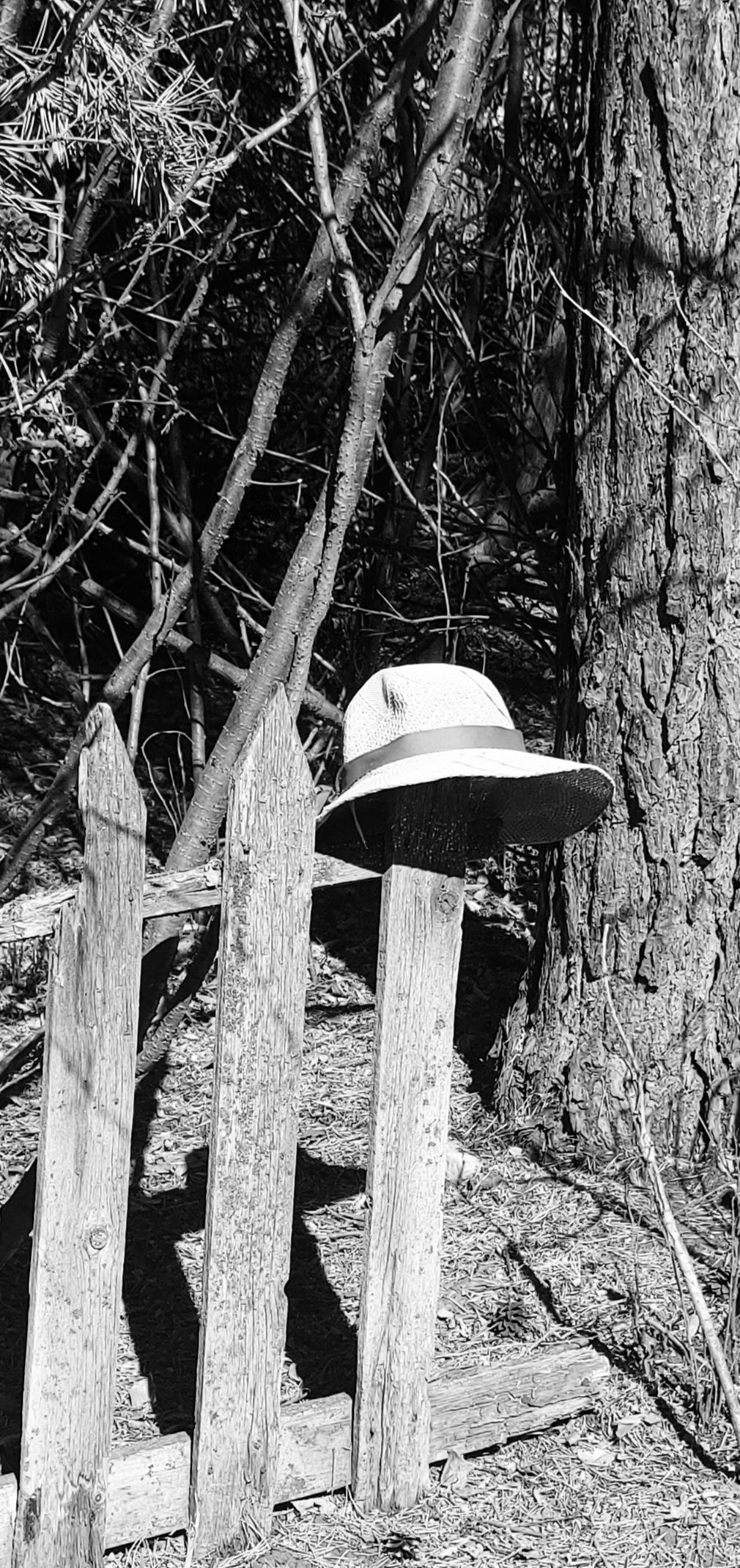 Famine is coming, Now What?. I don’t have a magical answer to the… | by ...