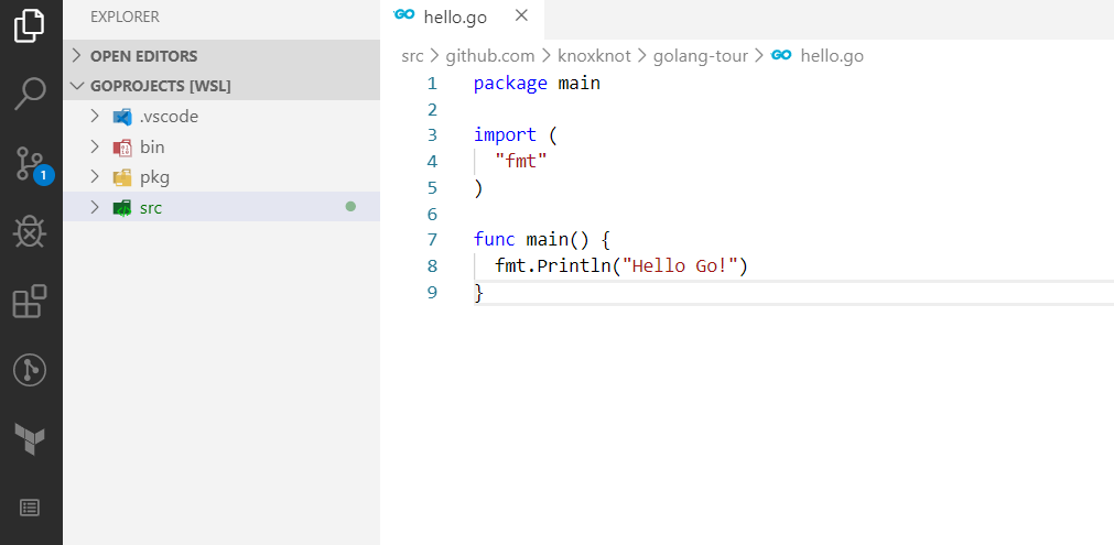 Setting Up Go Development Environment — Hello Go! | by Samuel Nwoye ...