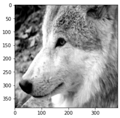 Image Processing With Python. Getting Started | by Kayathiri ...
