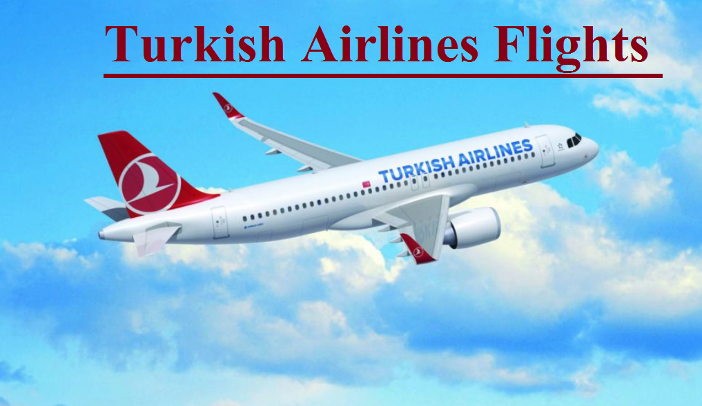 Book Reservation flights ticket & Get 20% off At Turkish Airlines ...