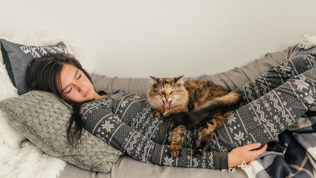 Eleven best gifts for sleepyheads | by brēō box | Medium