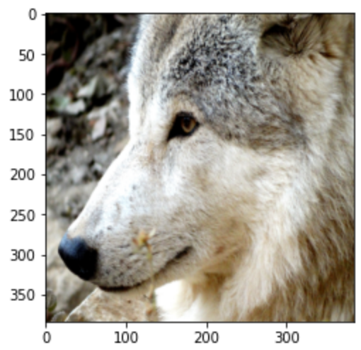 Image Processing With Python. Getting Started | by Kayathiri ...