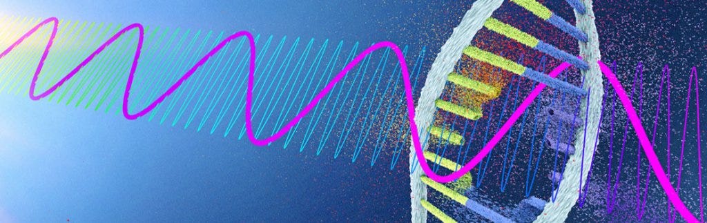 The discovery of isomers of DNA nucleobases produced by ionisation | by ...