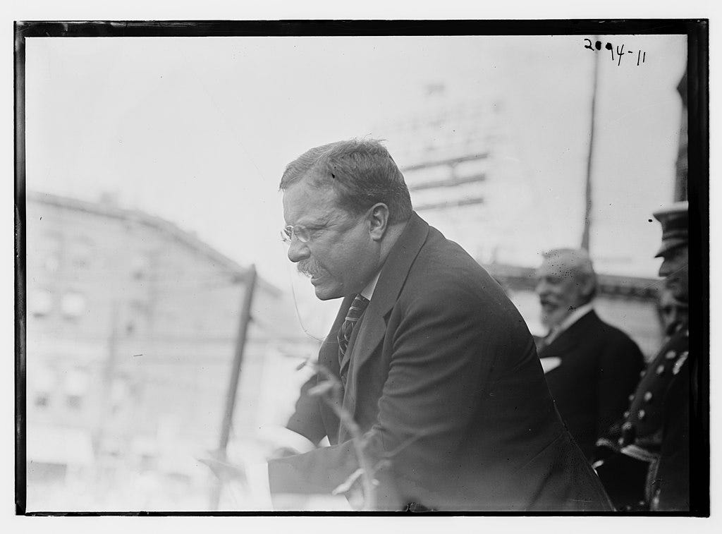 11 Little-Known Facts About the Life of President Theodore Roosevelt ...