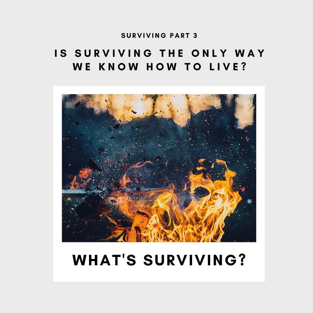 Is surviving the only way we know how to live? (1/2) — Surviving Pt. 3 ...