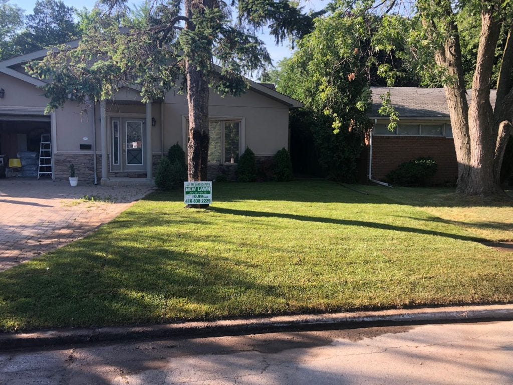 Do I Need To Hire A Professional Lawn Care Service? | by My Landscapers ...