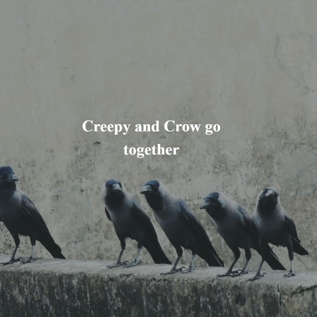 A murder tale that involves crows, stalking, liars, and rats | by Kris ...