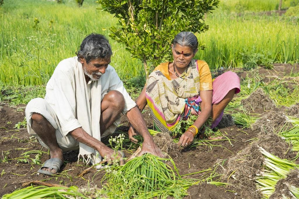 How Is Organic Farming Better Than Conventional Farming In India By how-is-organic-farming-better-than-conventional-farming-in-india-by