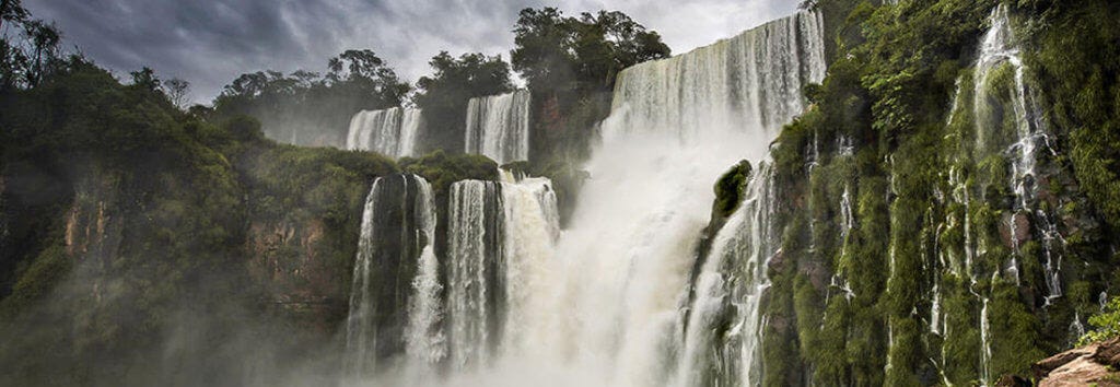 Facts about the flora and fauna in Paraguay | by TreeCoin | TreeCoin ...