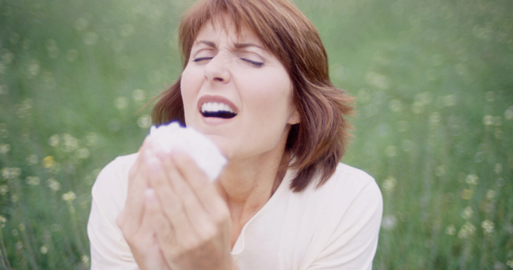 Why Fall Allergies Make You Sneeze | by David Eltz | Medium