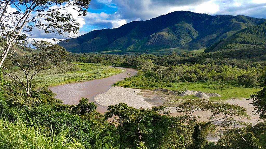 Biodiversity that makes you feel Alive. Oxapampa (Perú)