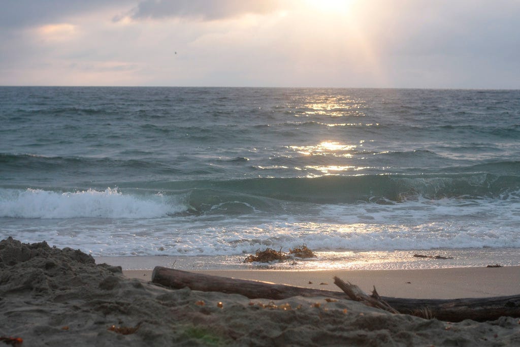 The Cost of Staying Active and Optimistic During a Job Search | by ...