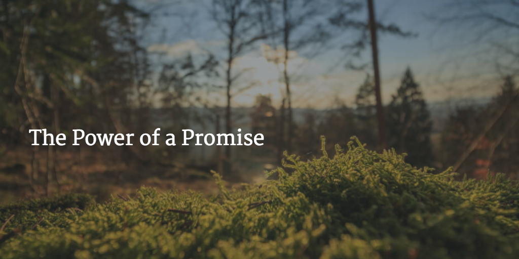 The Power of a Promise. It may not always seem like it, but it… | by ...