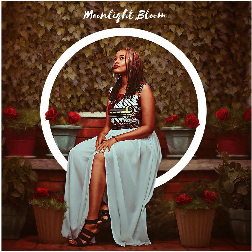 FROM THE RISING OF SUN TO THE MOONLIGHT BLOOM | by #mrembosafi | Medium