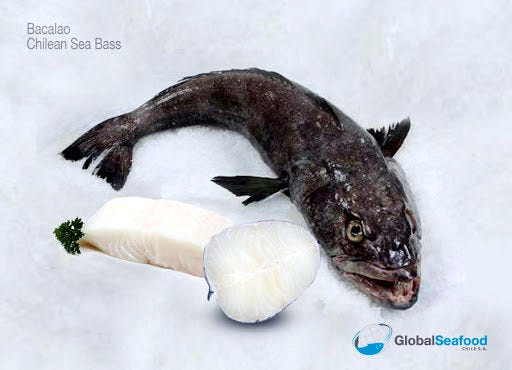 Healthy Chilean Sea Bass. How to cook the world’s most flavorful… | by ...