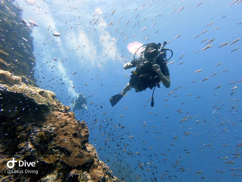 My Diving Journey (Thus far). My diving journey began at the circular ...