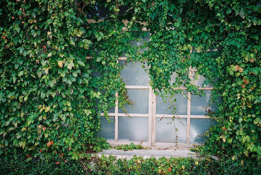 The not quite L O V E. the not quite love fixed me a not quite… | by ...