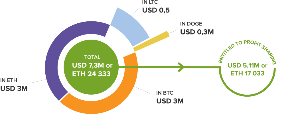 Exposure to CSNO token: everything you need to know about it. | by ...