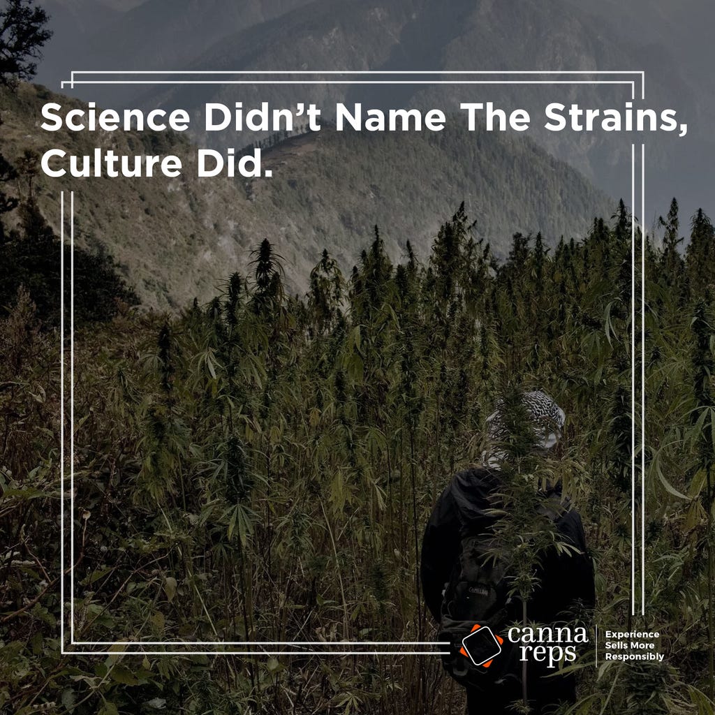Science Didn’t Name The Strains, Culture Did | by CannaReps | Medium