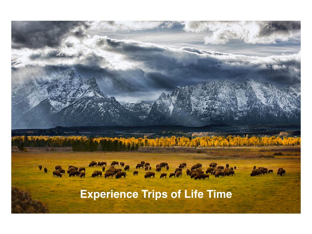 HIPMUNK. EXPERIENCE TRIPS OF LIFE TIME | by Sanam Lashkari | Medium