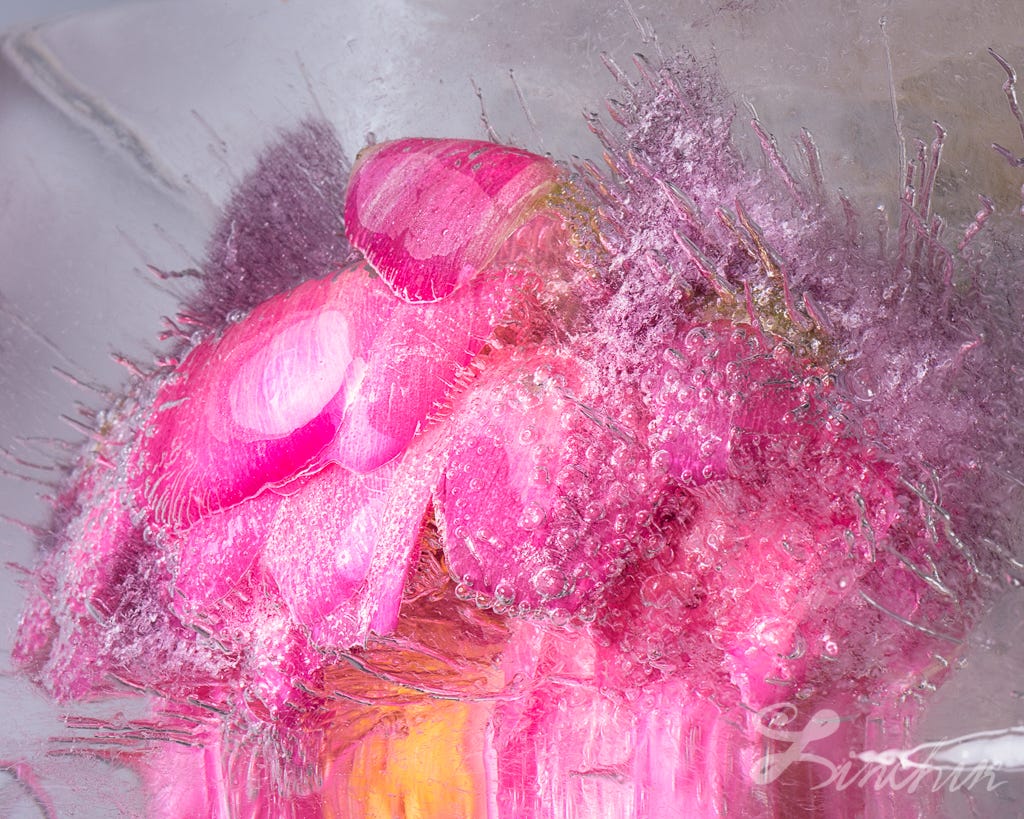 “Frozen Spring”. Photography & Art By Zinchik | by Goat | Scene & Heard ...