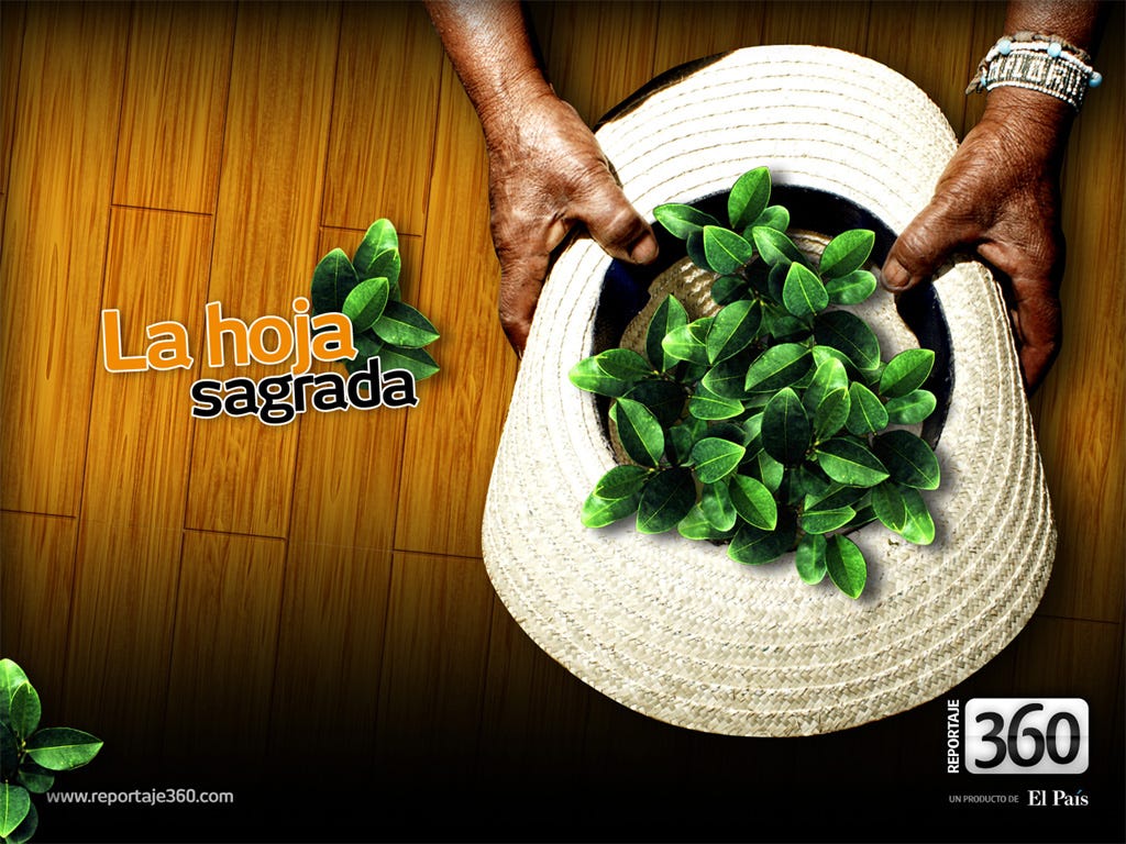 Coca, La Hoja sagrada. “La hoja sagrada (El País, Colombia)”… | by ...