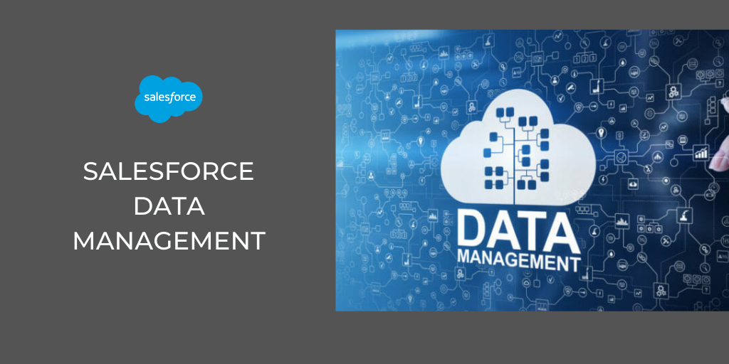 Data Management in Salesforce : A Comprehensive Guide for Salesforce Admins | by Neha Arora ...