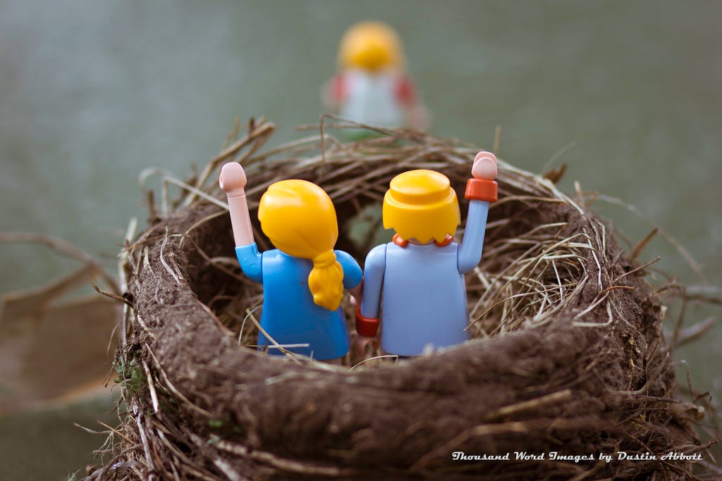 Empty Nest Syndrome. Definition | by Aline Nunes | Medium