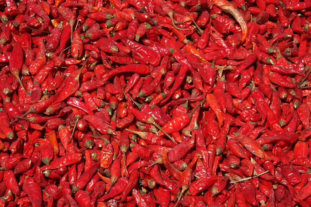 The longest burn. Last night, when harvesting chile… | by Kate Colwell ...