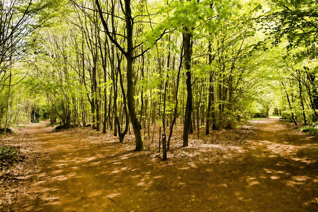 Our paths converged:. We were inseparable. We walked along… | by KT ...