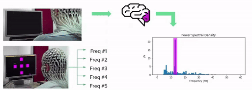 Brain-Computer Interfaces — Paradigms | by Rodrigo Pereira | An Analysis of the Use of ...