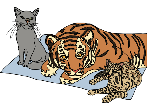 Top 15 Best Books for JavaScript Beginners | by arnab roy chowdhury ...