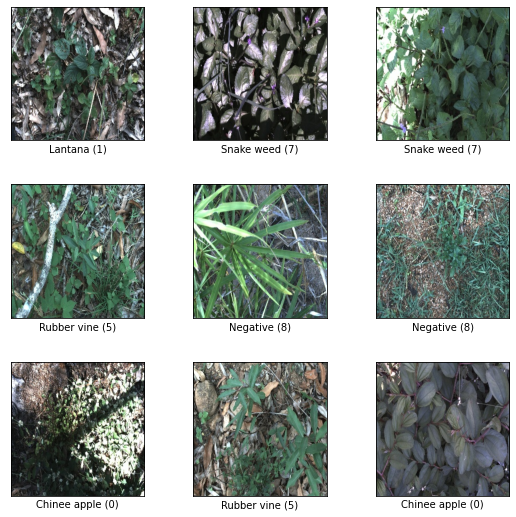 What I Learned at the Tensorflow Dev Summit 2020 — Part 1 | by Patrick ...