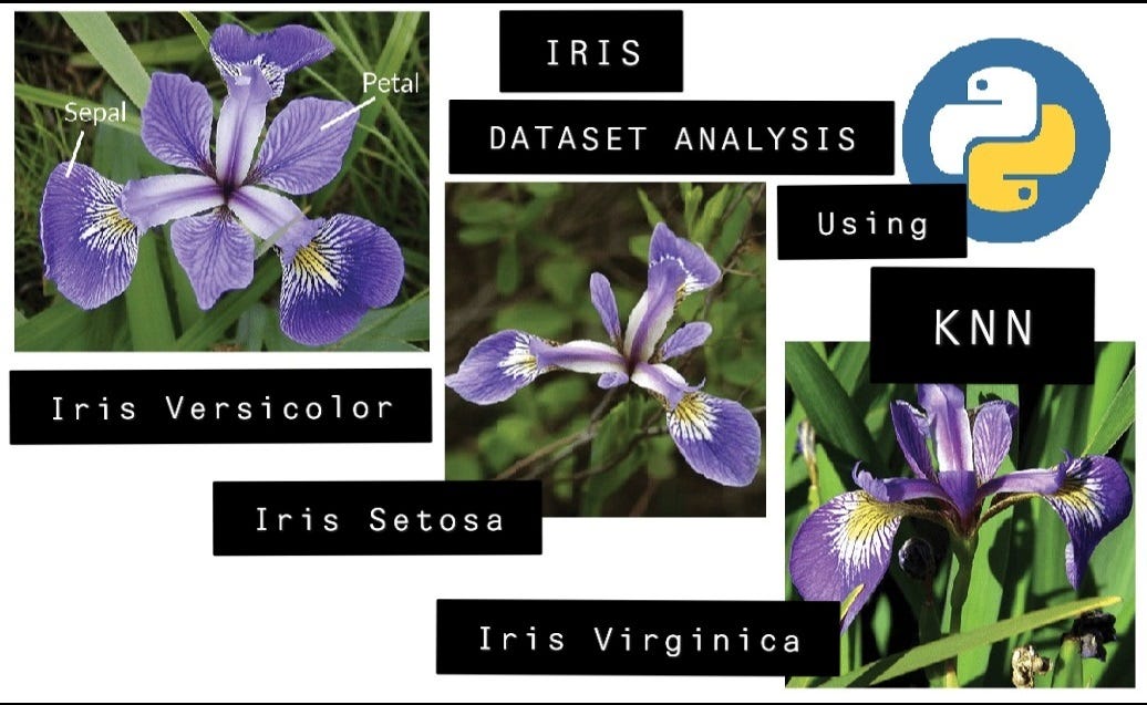 Iris Data set Analysis using KNN. So you’ve done all the reading part ... Iris Data set Analysis using KNN. So you’ve done all the reading part ...
