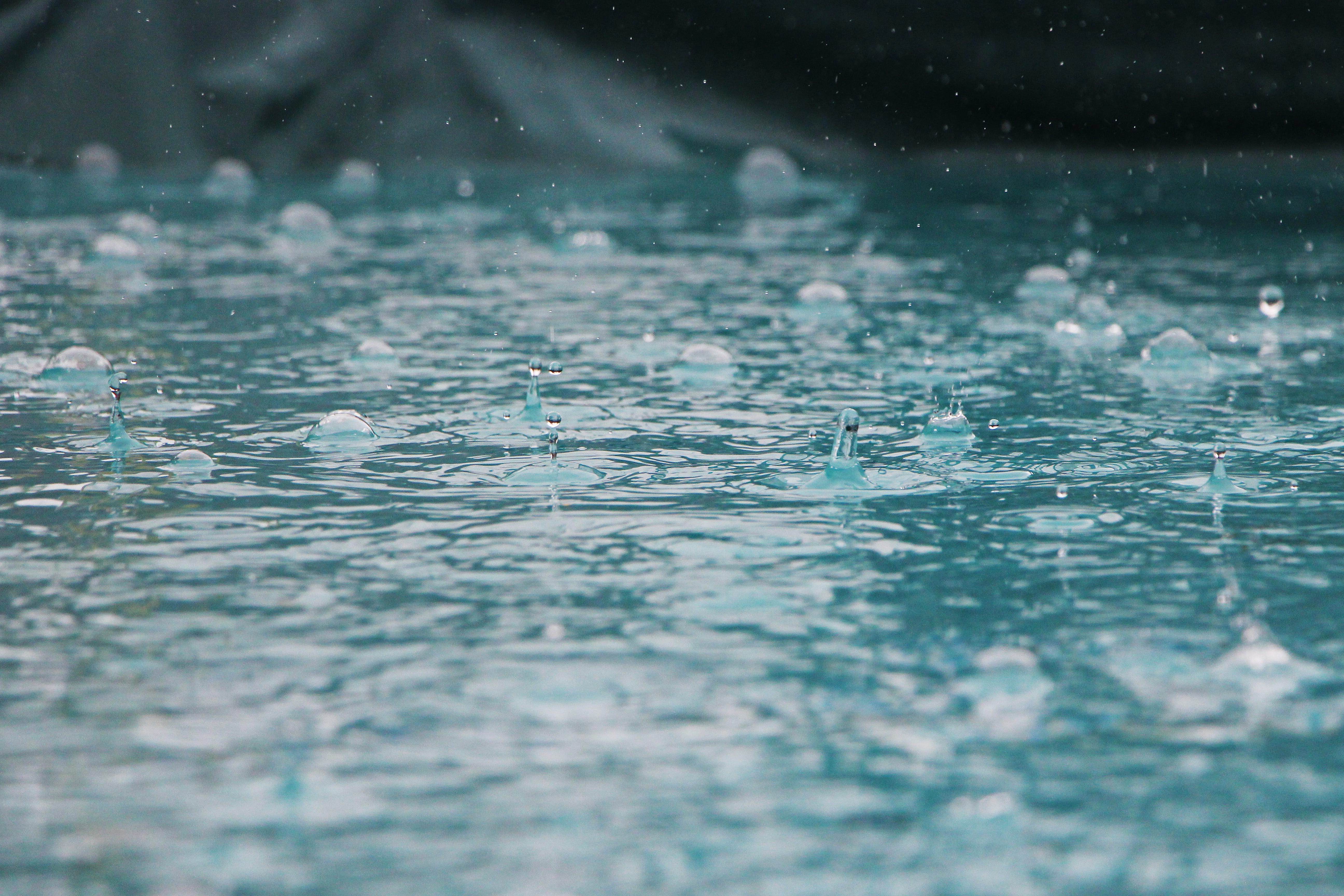 The Blobs That Fell from the Sky. In 1994, an unusual rainstorm rained ...